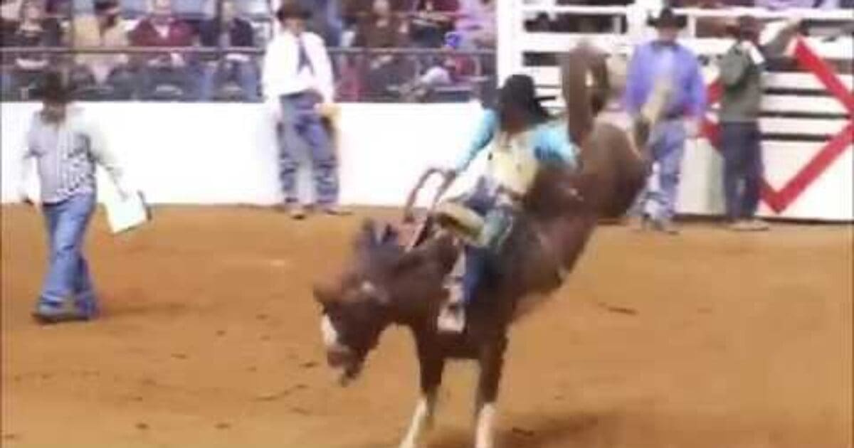 Texas sharia court judge delivered invocation for Fort Worth rodeo ...