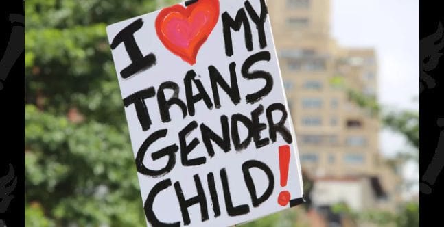 School ‘Gender And Sexuality Alliance’ Clubs Encourage Teen Girls To ...