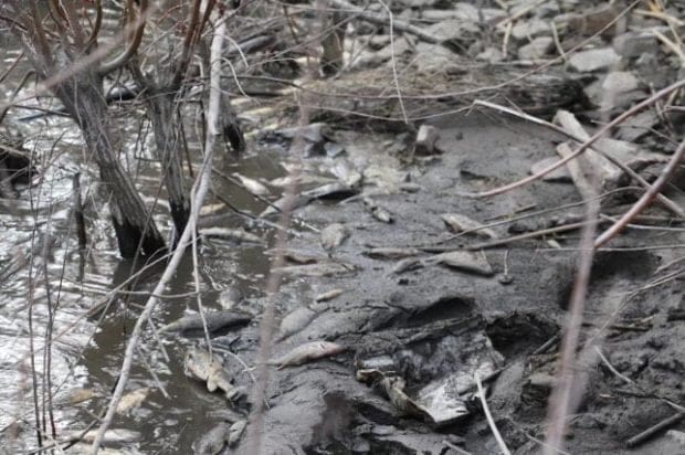 A Dam Good Argument - Liberty Unyielding