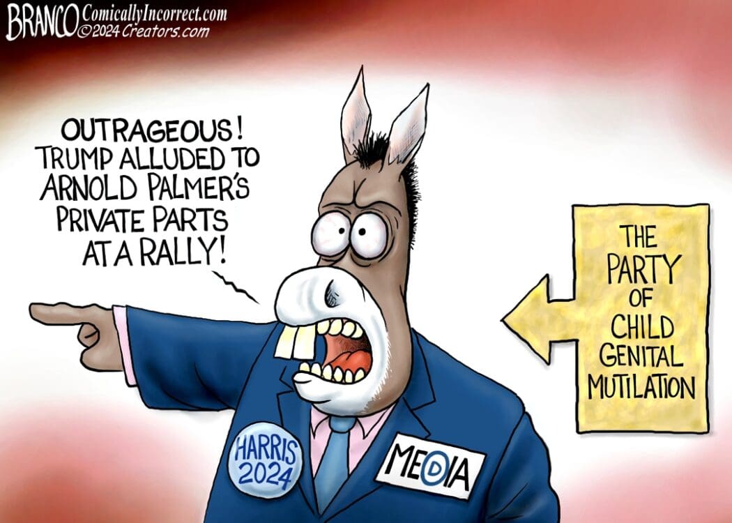 Cartoon of the Day: Genital Madness - Liberty Unyielding