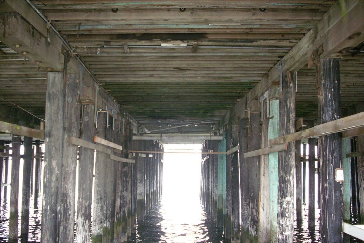 Santa Cruz wharf collapses into the sea because of environmental ...