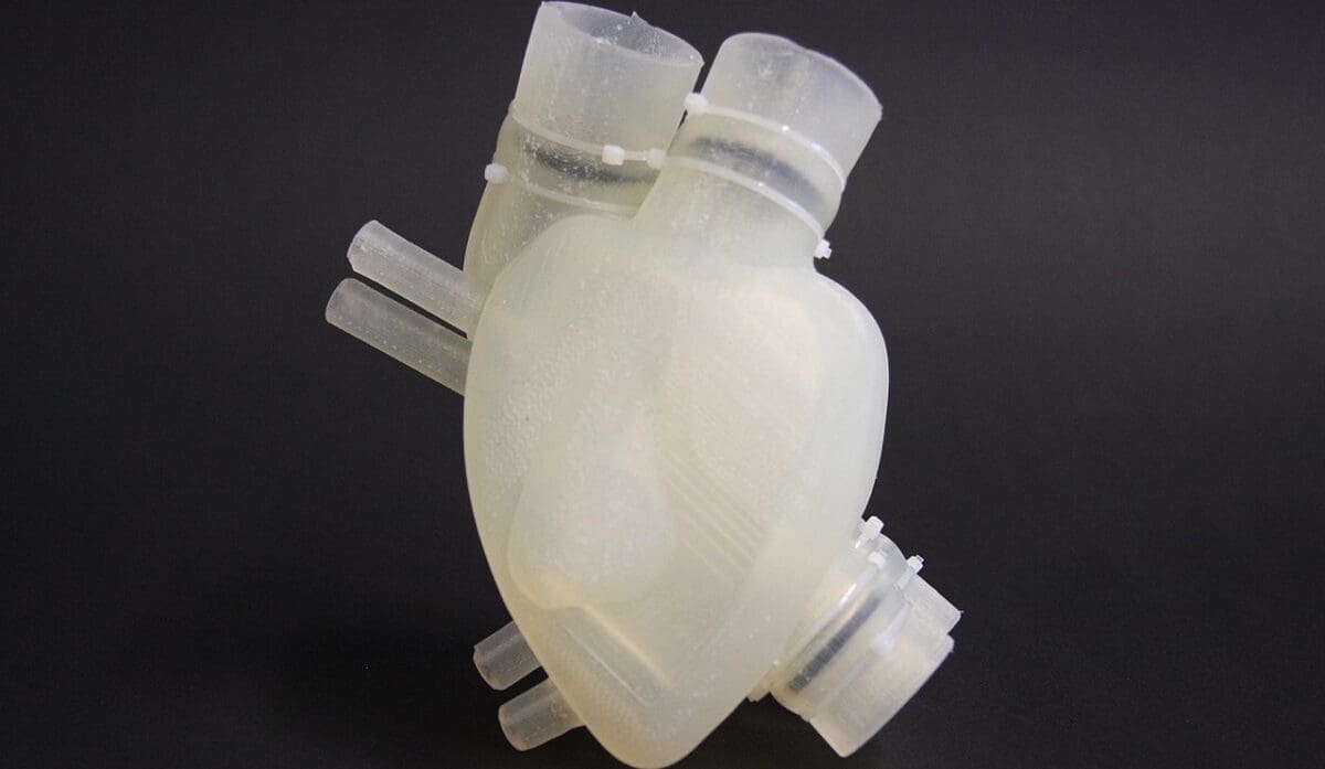 New artificial heart makes survival easier for people with heart ...
