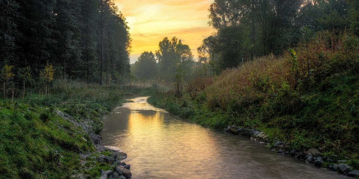 Sludge-filled river becomes thriving ecosystem - Liberty Unyielding